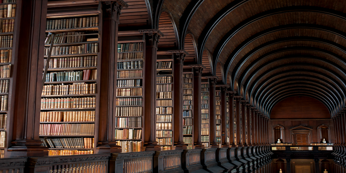 Le 10 biblioteche più belle del mondo: ecco quali sono Le 10 biblioteche più belle del mondo: ecco quali sono
